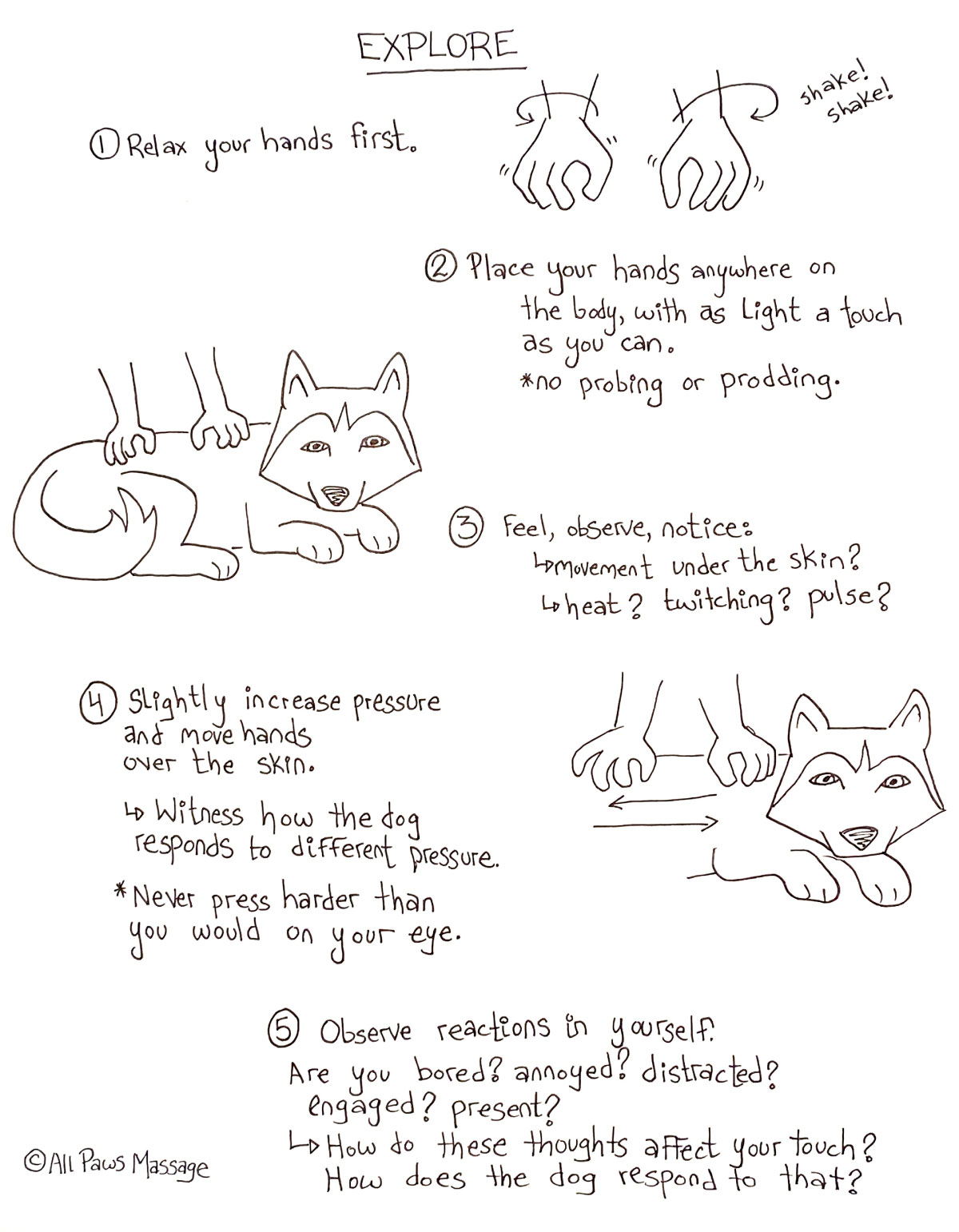 Get to Know Your Dog's Body - All Paws Massage